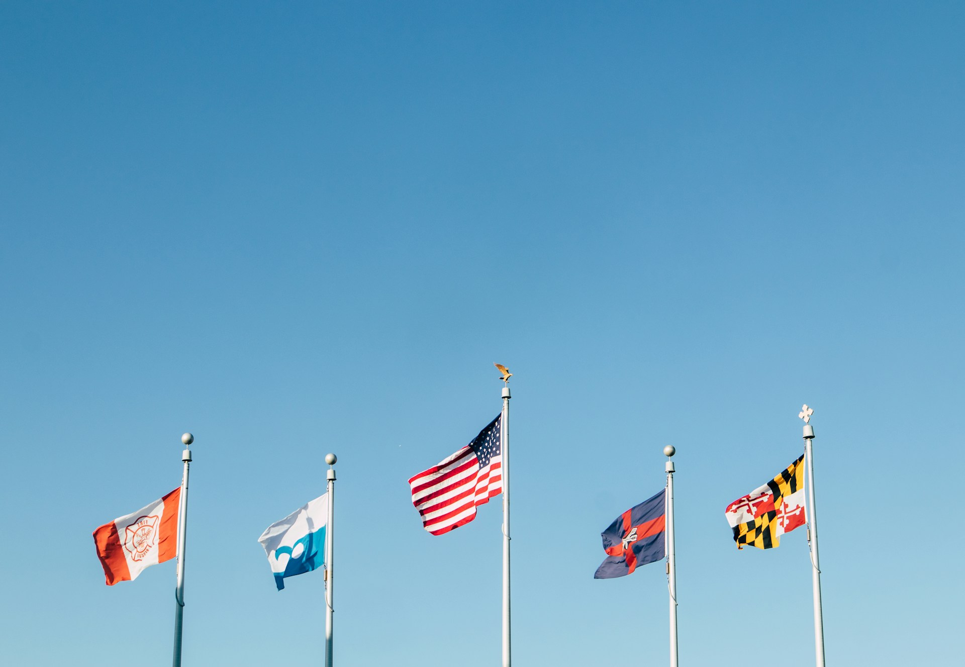 10 Best Color Themes and Palettes For Instagram Success